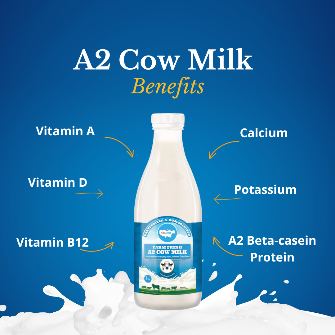 Discover the Benefits of Farm Fresh A2 Cow Milk in Noida – Pure A2 Milk Goodness – Skyrrup